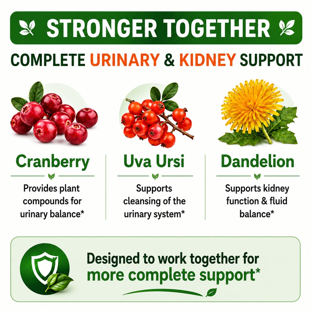 High potency cranberry extract