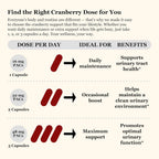 High potency cranberry extract