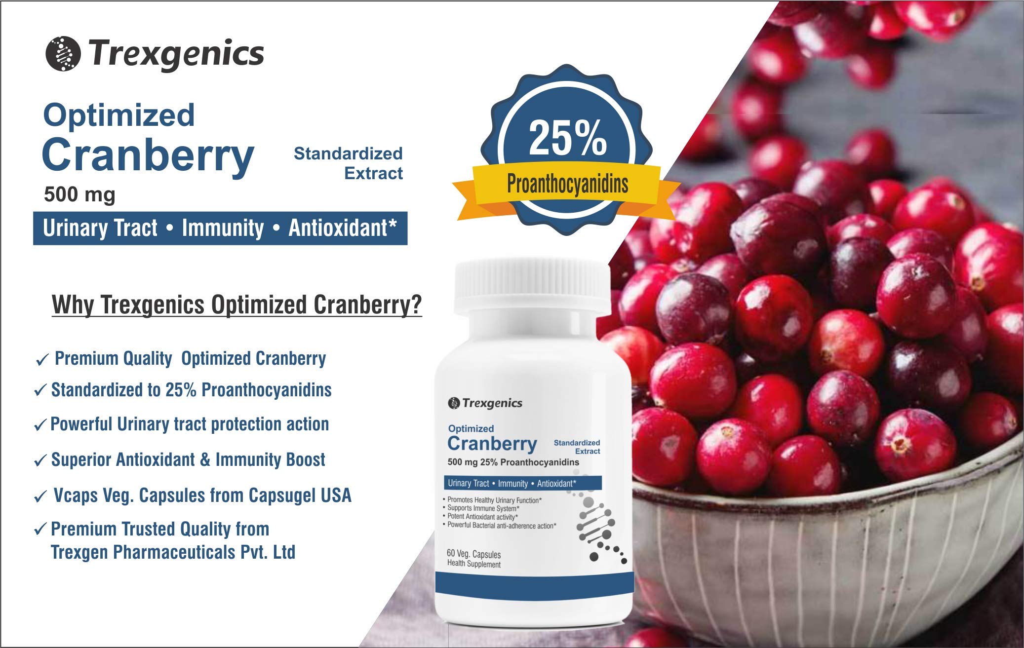 High potency cranberry for urinary tract