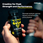 high potency creatine for athletes