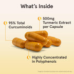 high potency curcumin capsules