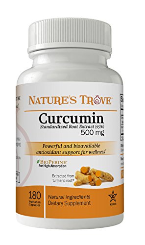 high potency curcumin extract benefits
