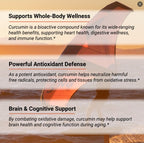 High potency Curcumin for immune boost