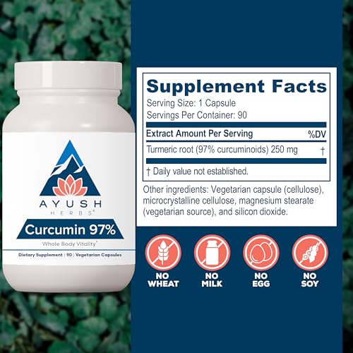 high potency curcumin for inflammation
