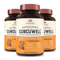 high-potency curcumin for joint health