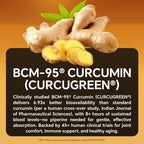 high potency curcumin for joint health