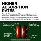 high potency curcumin for wellness