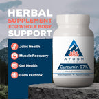 high potency curcumin for wellness