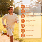 high potency curcumin for wellness