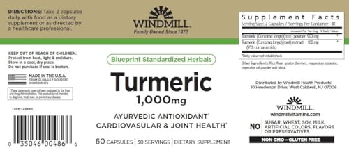 high potency curcumin supplement 1000 mg