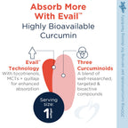high potency curcumin supplement benefits