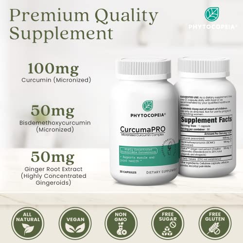high potency curcumin with ginger