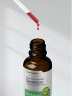 high potency dandelion root extract