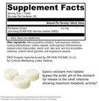 high potency digestive enzymes for better digestion