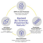 high potency digestive enzymes for gluten