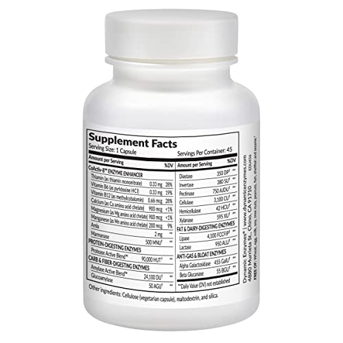 high potency digestive enzymes for meal support
