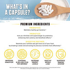 high potency digestive enzymes formula