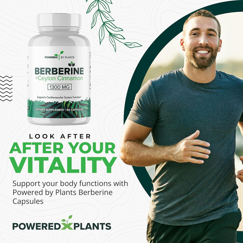 high potency dihydroberberine capsules