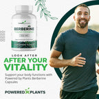 high potency dihydroberberine capsules