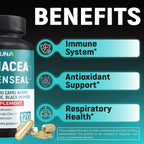 High potency Echinacea capsules