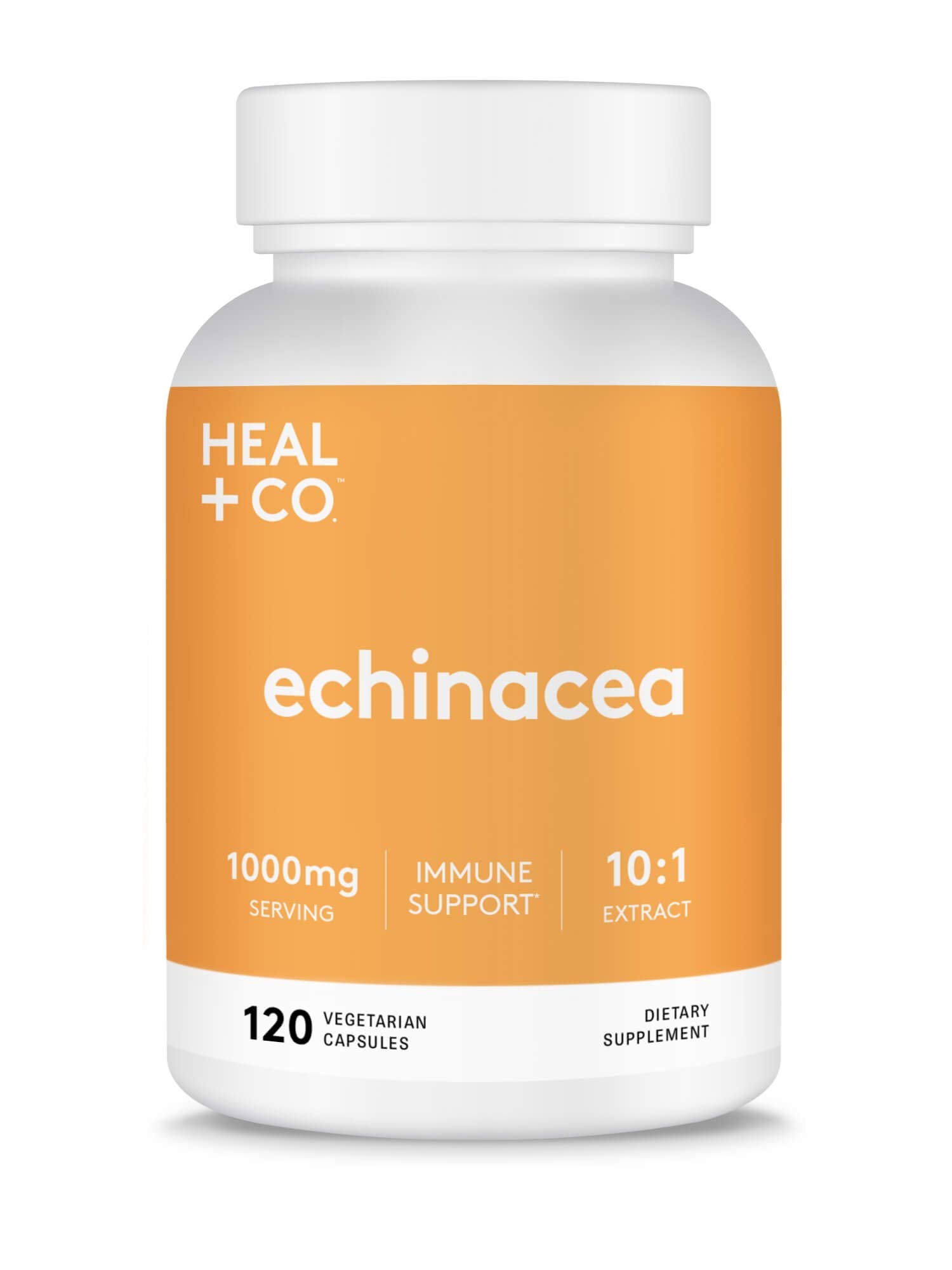 high potency echinacea extract capsules