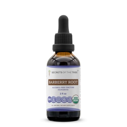 high-potency echinacea root extract