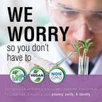High potency Echinacea VegCaps 125 mg