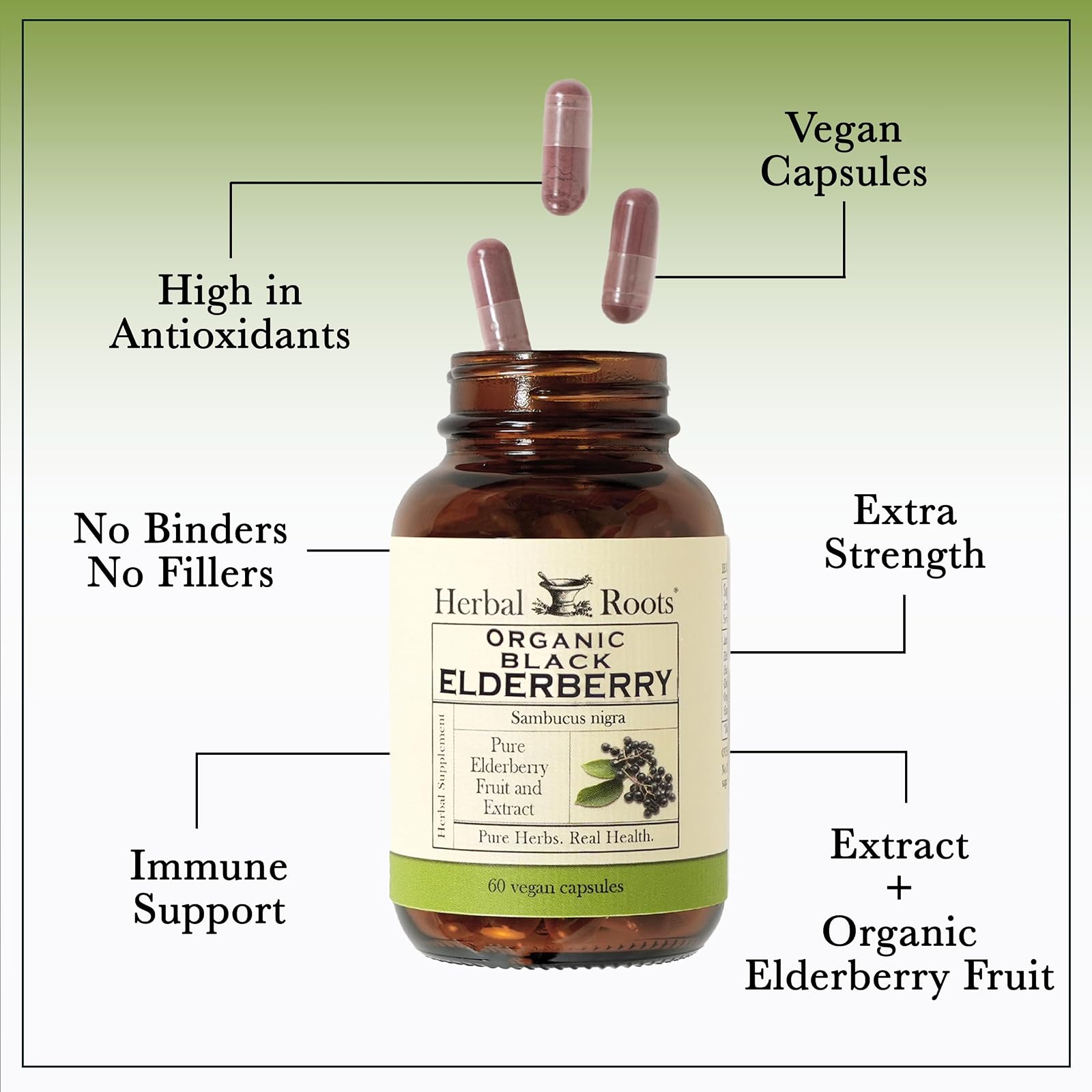 high potency elderberry capsules 1000 mg