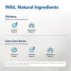 High potency elderberry extract