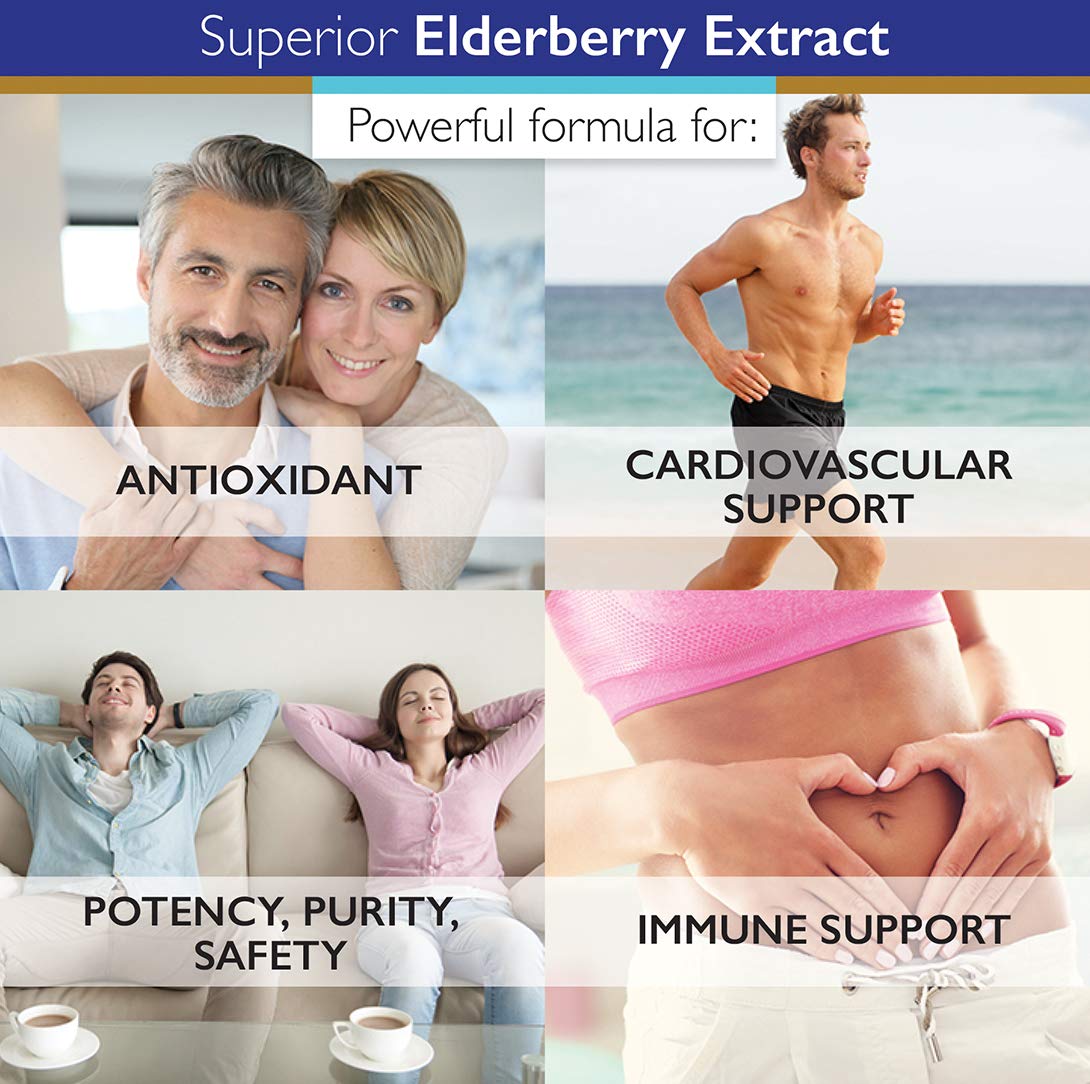 high potency elderberry for immunity