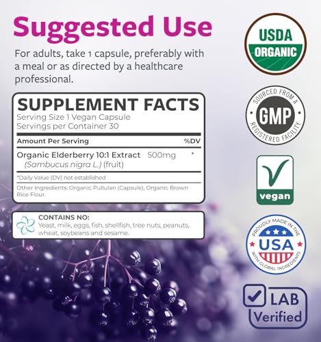 high potency elderberry for immunity