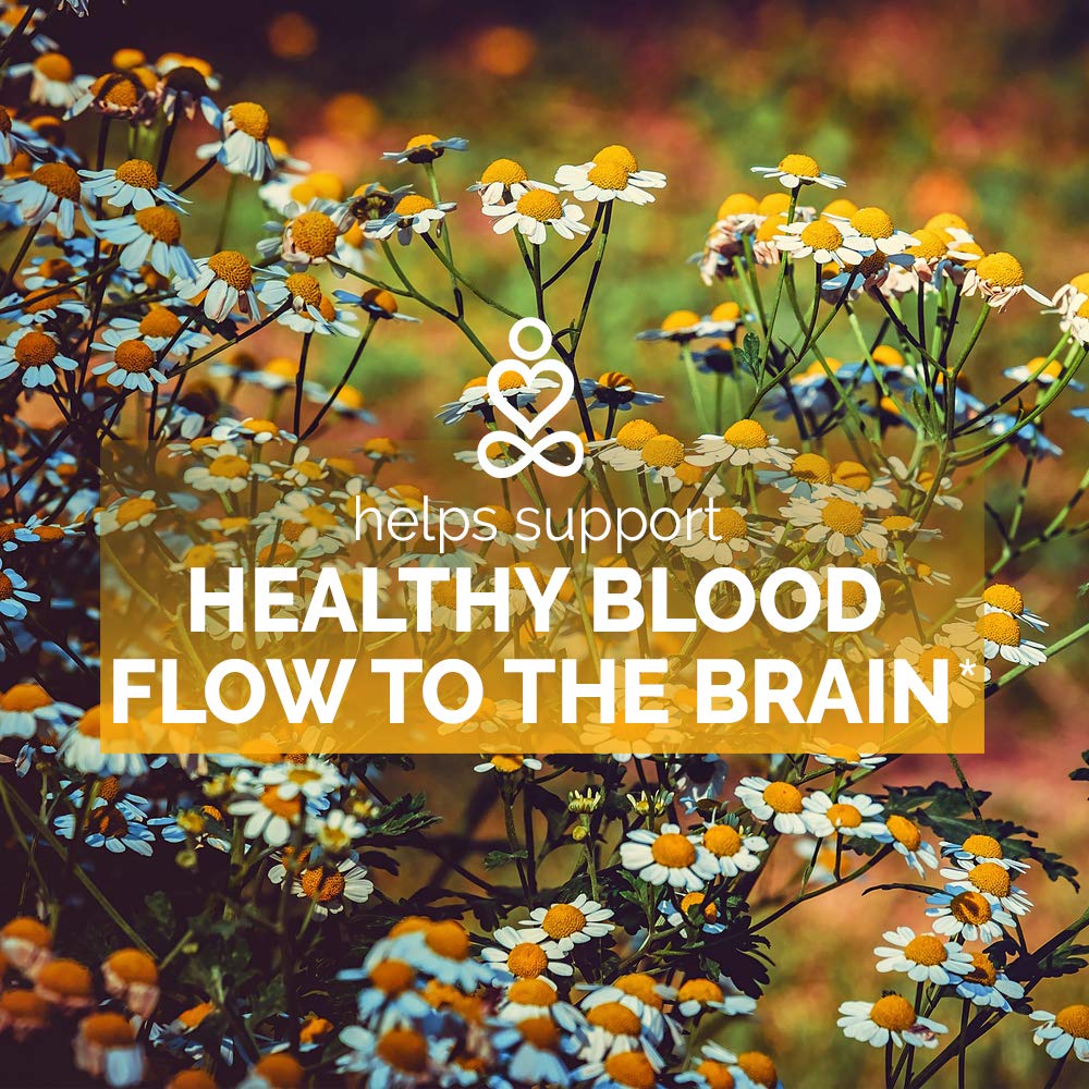 High potency feverfew extract benefits