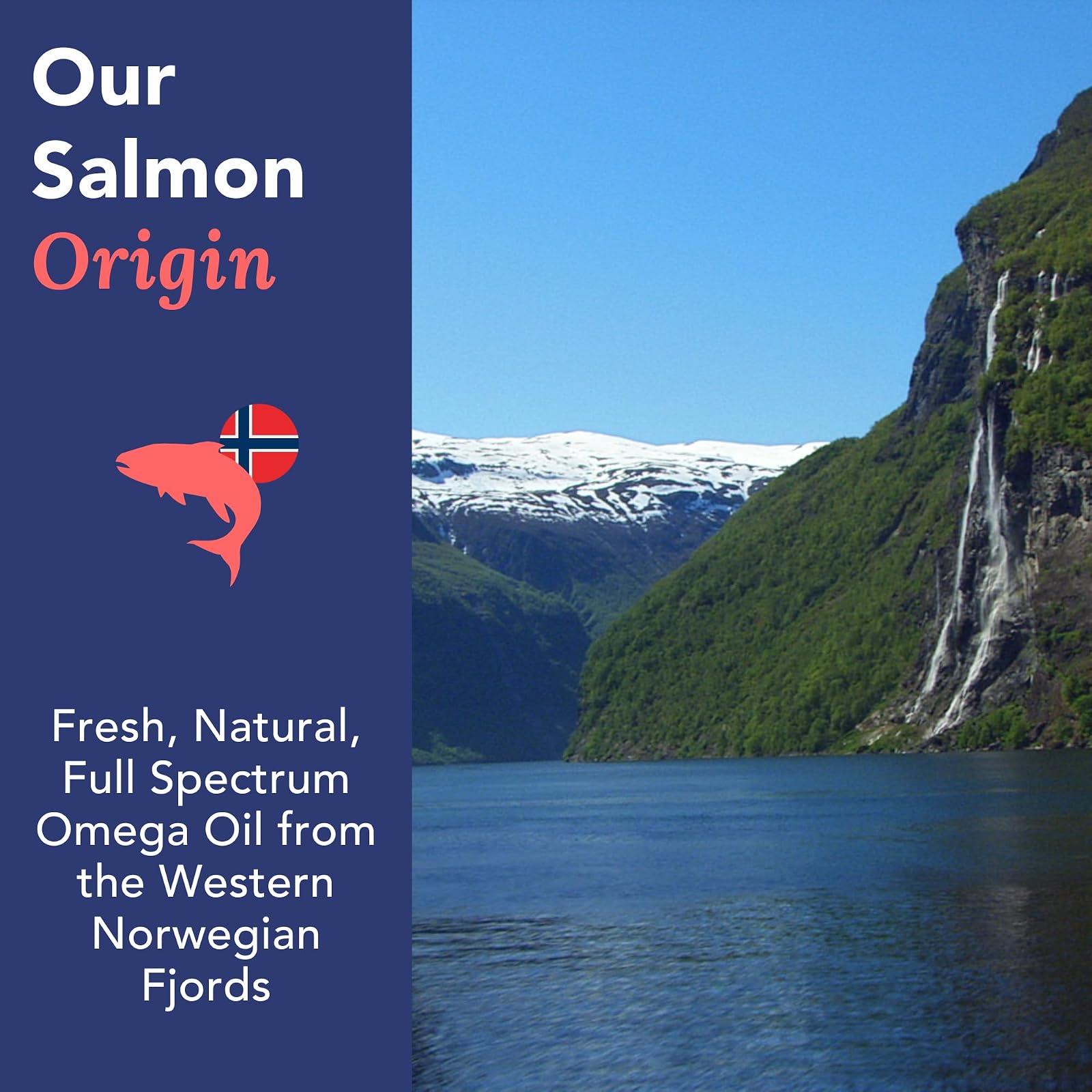 High potency fish oil 1000 mg