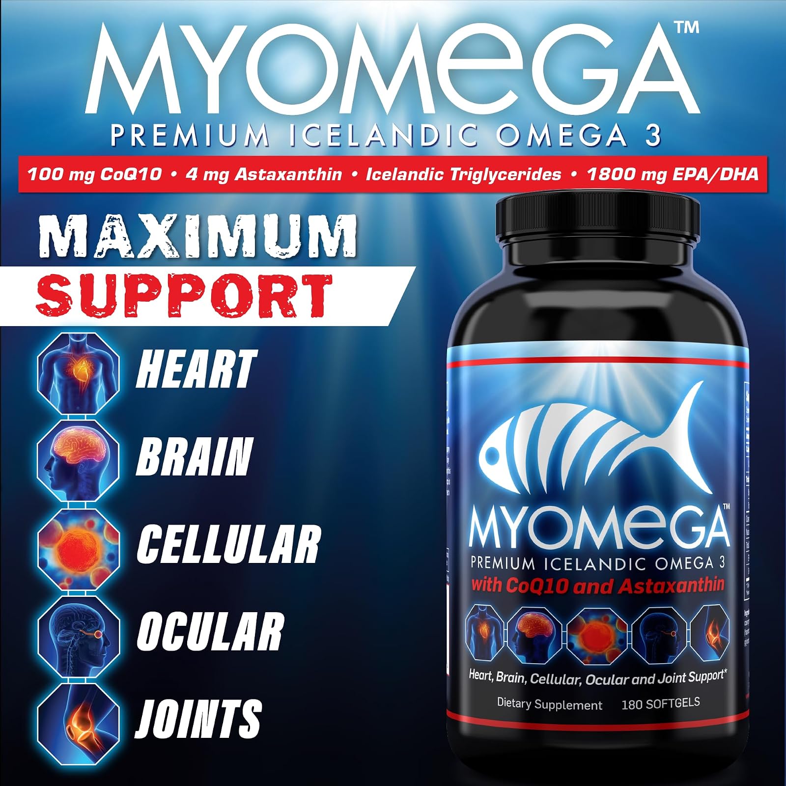 High potency fish oil omega 3 supplement