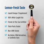 High potency fish oil omega 3 supplement