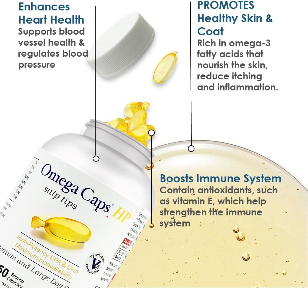 high potency fish oil omega 3