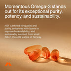 High potency fish oil omega 3
