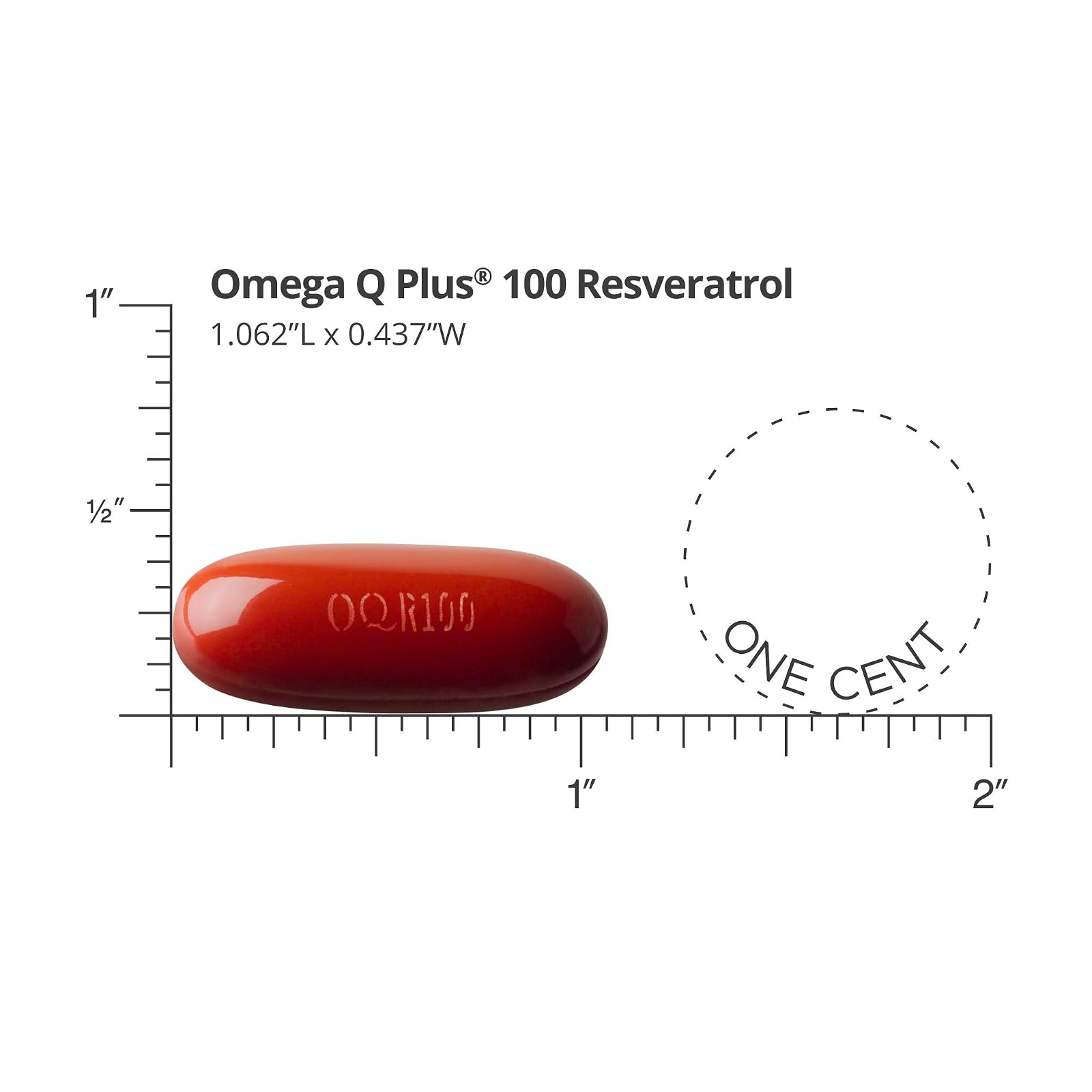 high potency fish oil omega 3