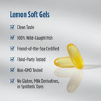 high potency fish oil supplement