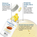 high potency fish oil supplement
