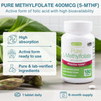 high potency folate supplement for energy