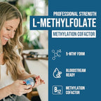 high potency folate supplement