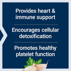 high potency garlic extract benefits