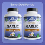 high potency garlic extract capsules