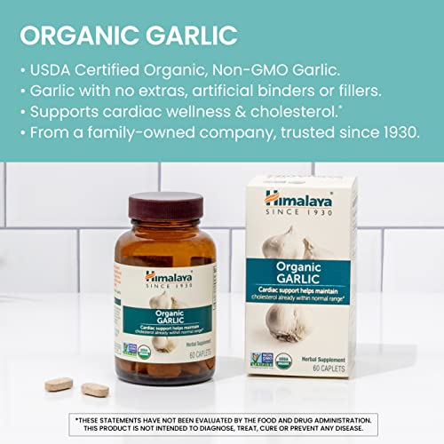 High potency garlic for wellness