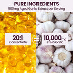 High potency garlic softgels