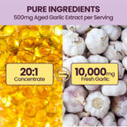 high potency garlic softgels