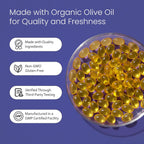 high potency garlic supplement capsules