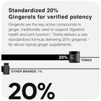 high potency ginger extract supplement