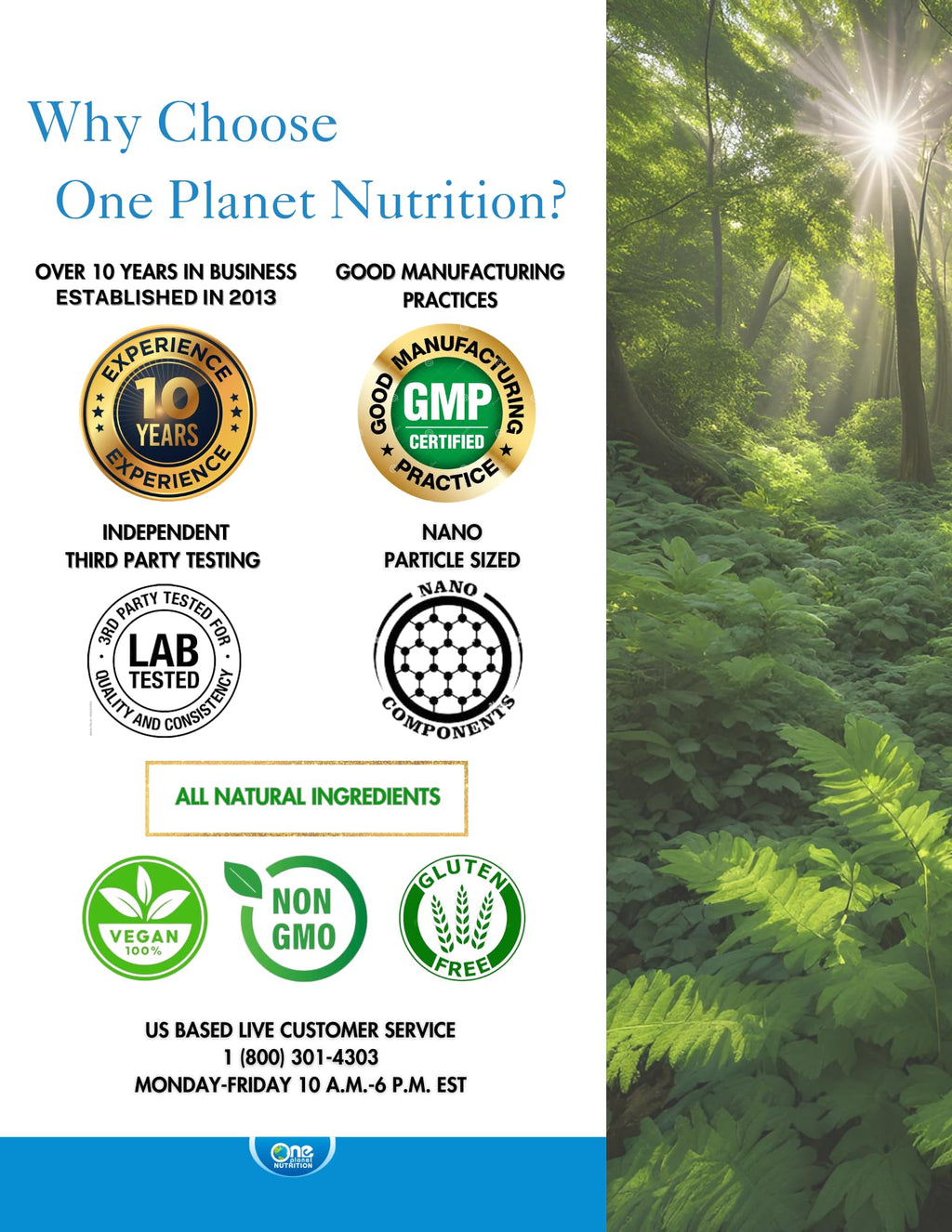 High potency ginger root powder